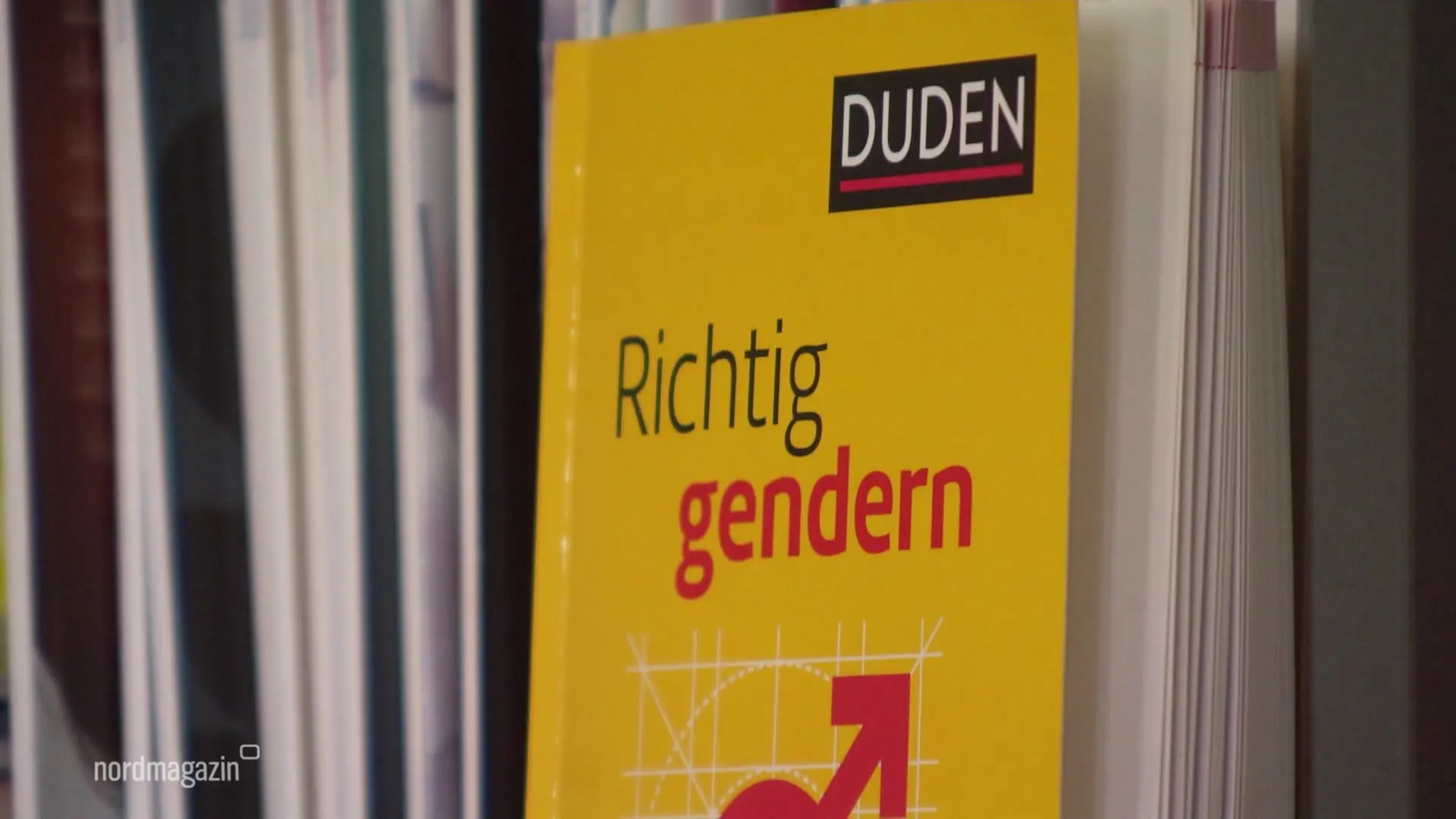 Gendern: Wie wichtig ist geschlechtergerechte Sprache für MV? | ndr.de