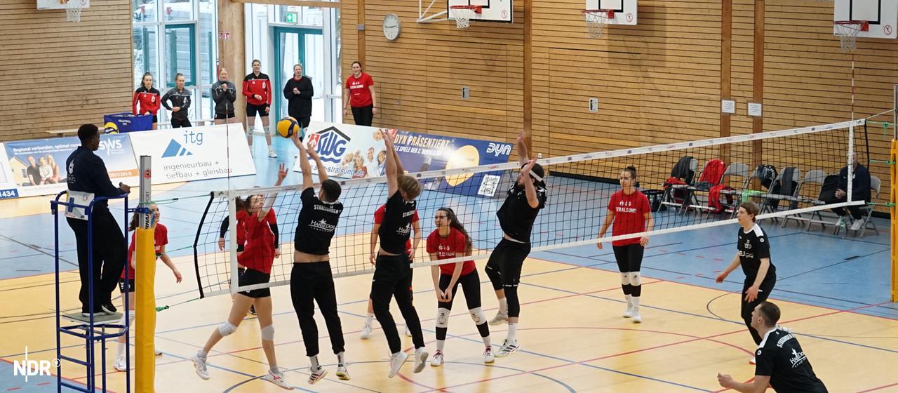 Stralsund: Profimannschaften machen gemeinsame Sache | tagesschau.de