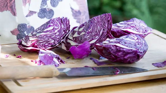 Kohl: Sorten im Überblick | ndr.de