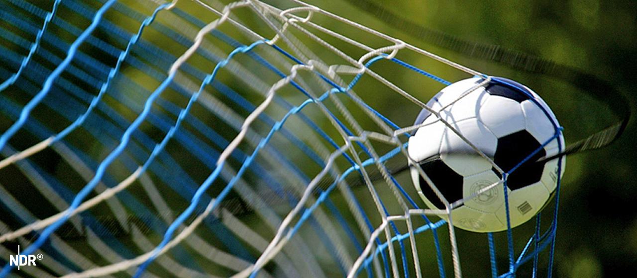 Fußball: FC Mecklenburg Schwerin überwintert ungeschlagen auf Platz ...