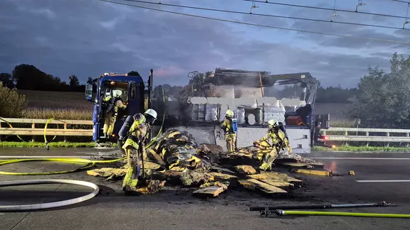Tornesch: Drei Pferde aus brennender Reitanlage gerettet | ndr.de