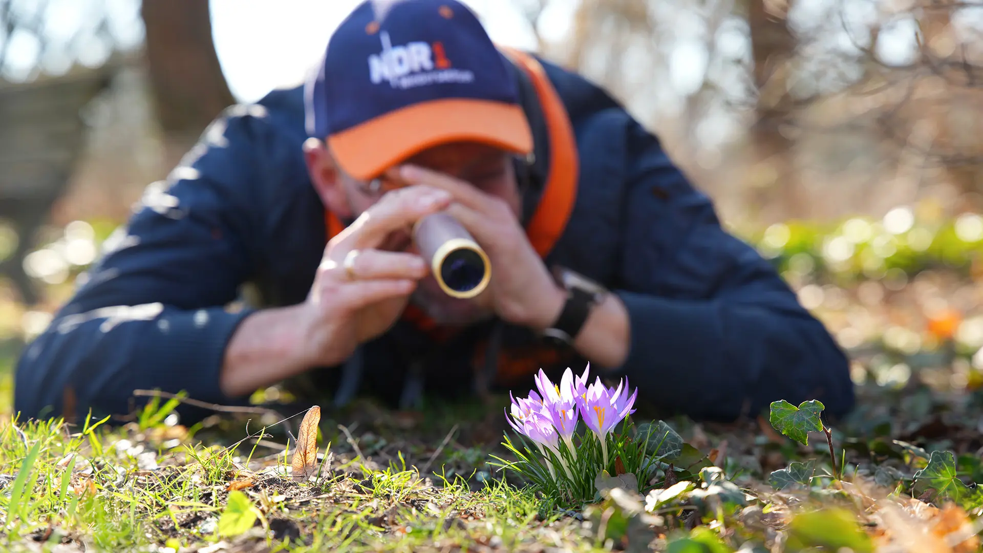 So klingt der Frühling! | ndr.de