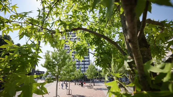 Bokep stw sotw that girl is absolutely gorgeous and