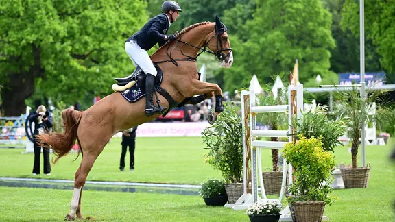 Reiten: Tillmann triumphiert im Spring-Derby - Werth gewinnt Dressur ...