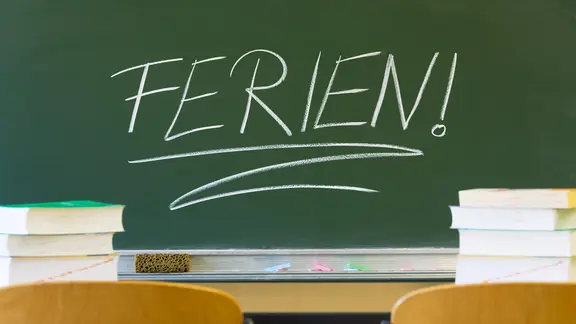 Lauren cat 2025 we tidied up, cuddled for a while, and