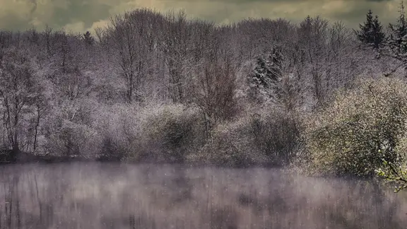 Jahresrückblick 2025 - Momente, die bewegt haben | ndr.de
