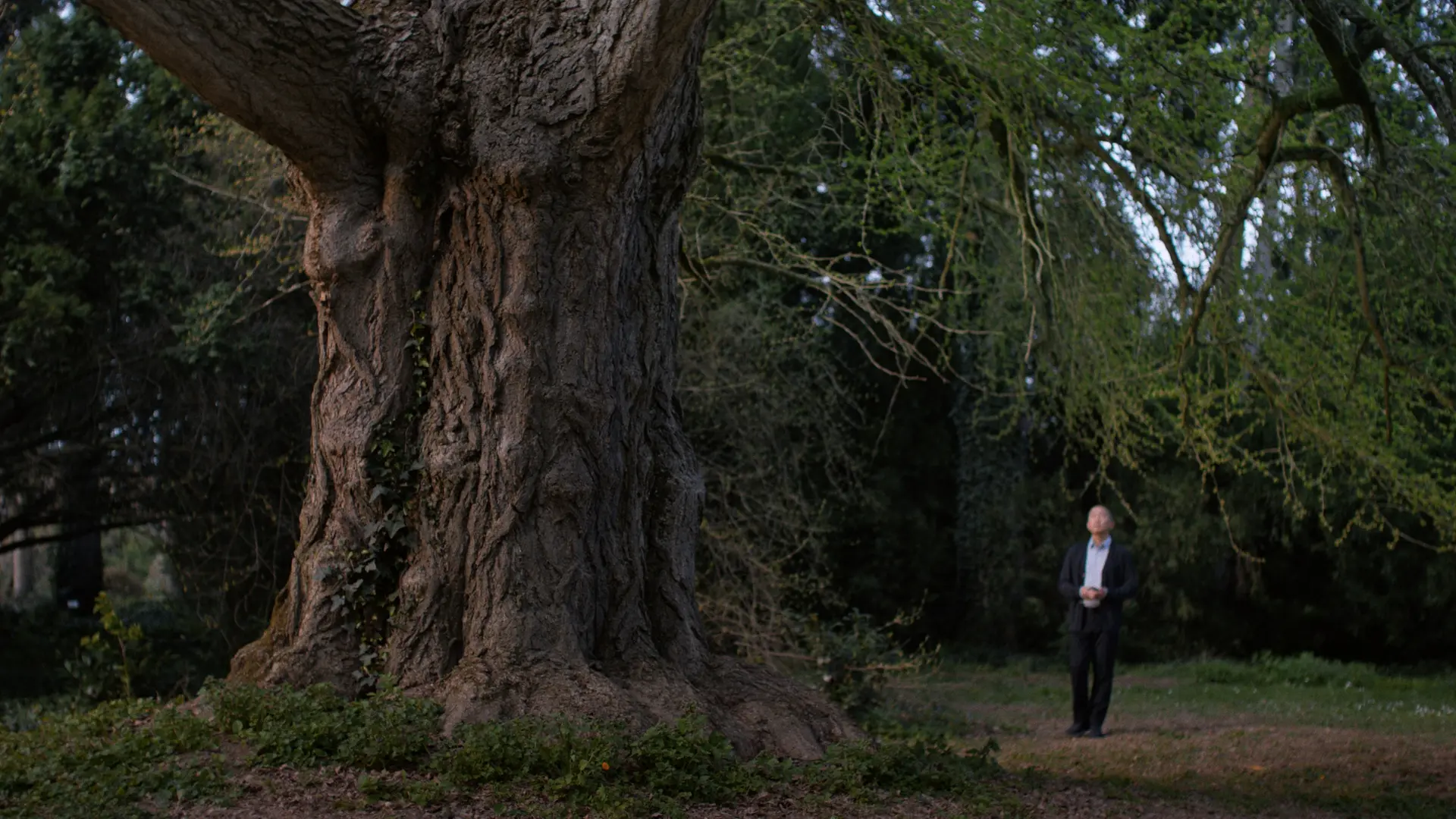 Trailer zum Film "Silent Friend" | ndr.de