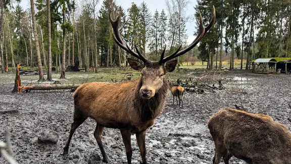 Nordmagazin | ndr.de