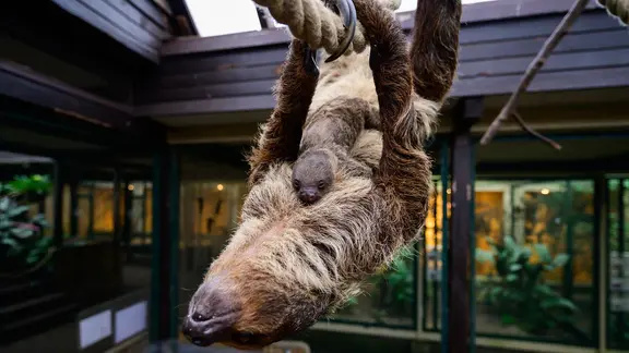 Tote 14-Jährige in Salzgitter: Obduktionsergebnis liegt vor | ndr.de