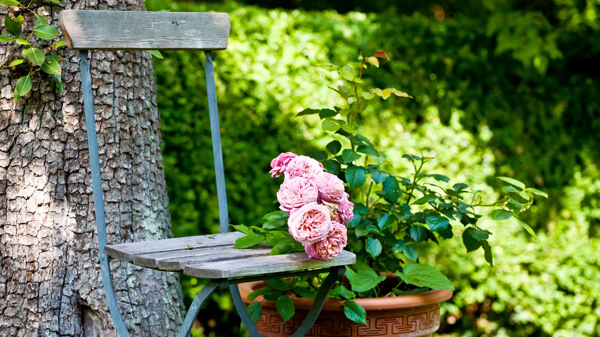 Morgenandacht auf NDR 1 Radio MV | ndr.de