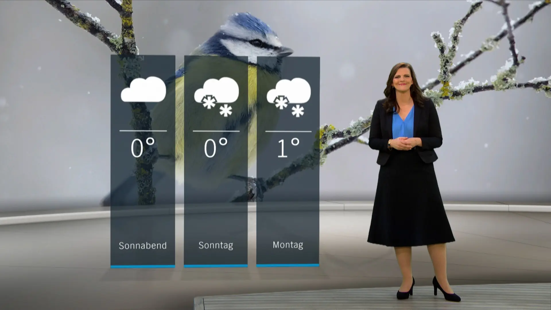 So wird das Wetter in Schleswig-Holstein | ndr.de