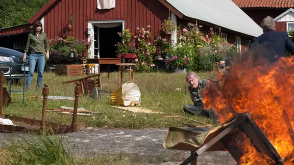 Kommissar Wallander - Die Brandmauer | ndr.de