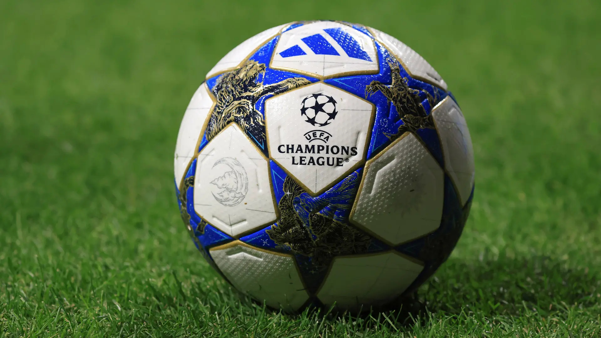 UEFA Champions League | ndr.de