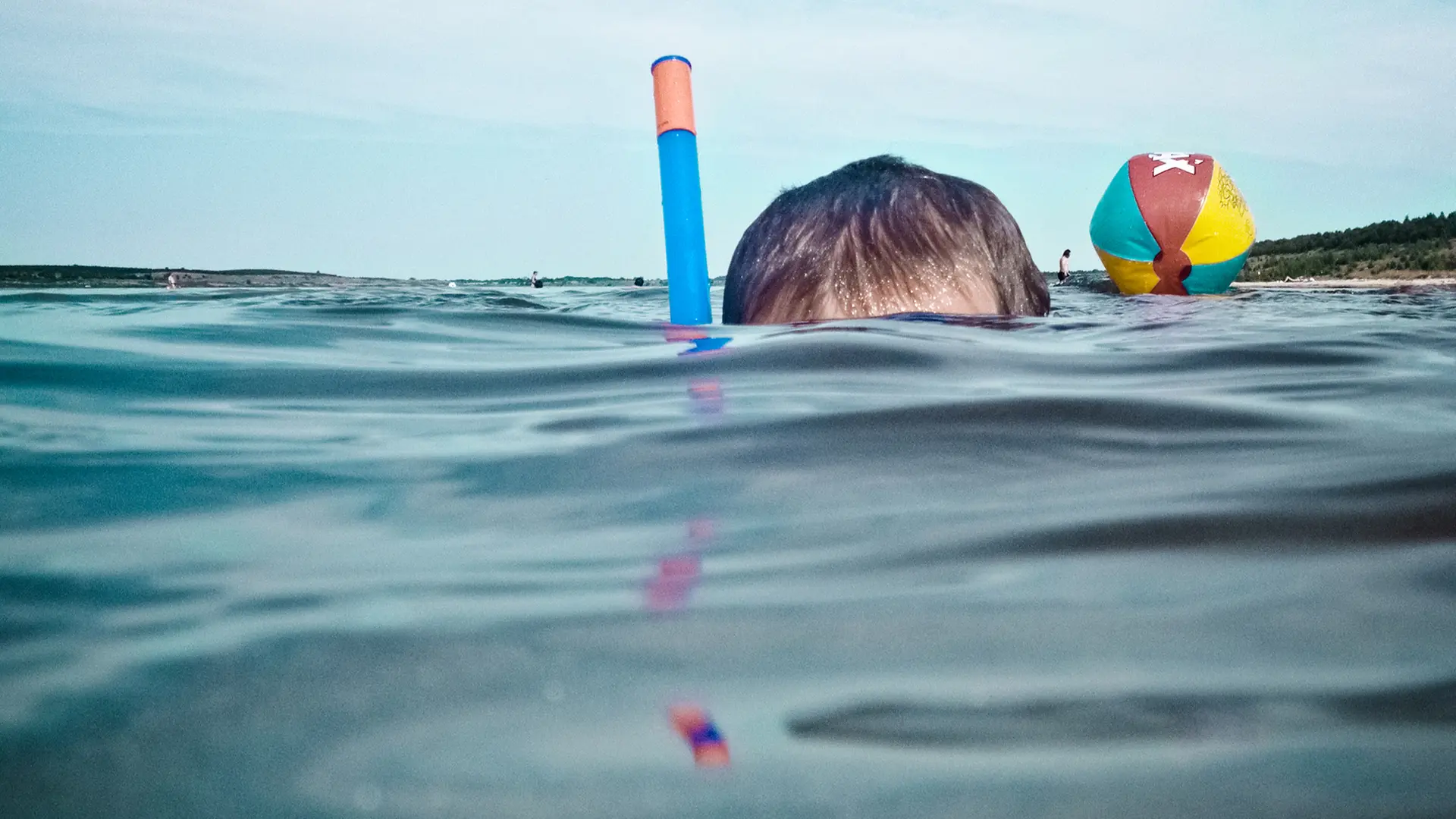 BINGO! - Die Umweltlotterie | ndr.de
