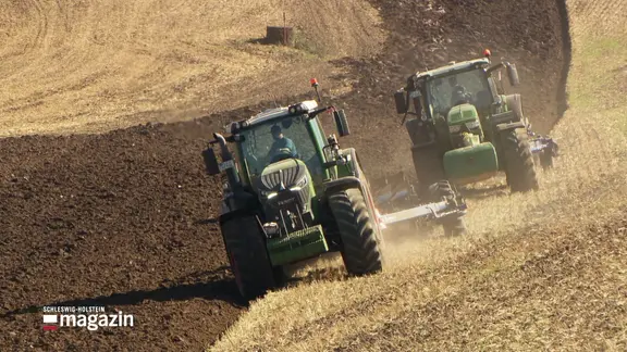 Danke Meeno! - Abschied von unserem Wettermann | ndr.de