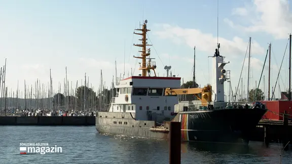 Cheyenne swenson onlyfans erome this girl is beautiful with