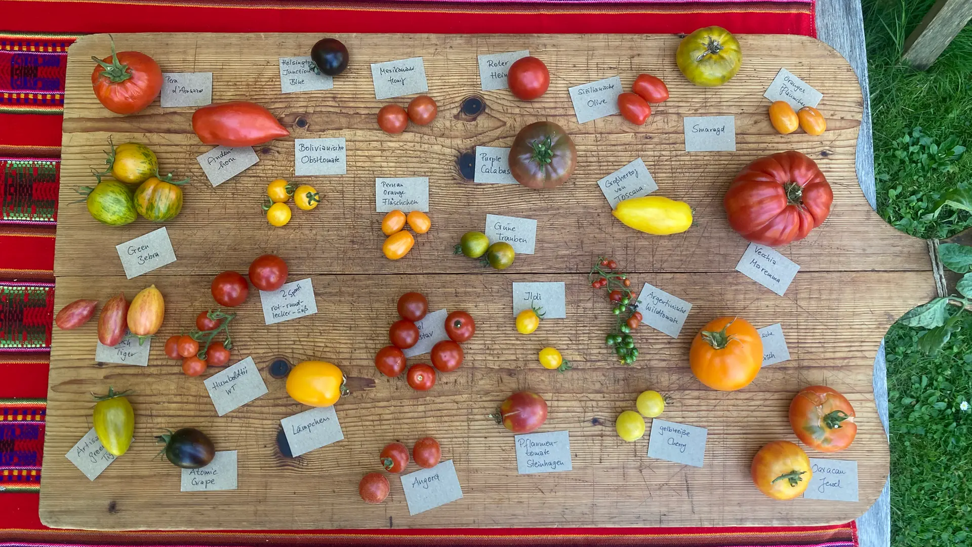 Tomaten auf der Zielgerade: Jetzt noch letzte Pflege-Tipps | ndr.de