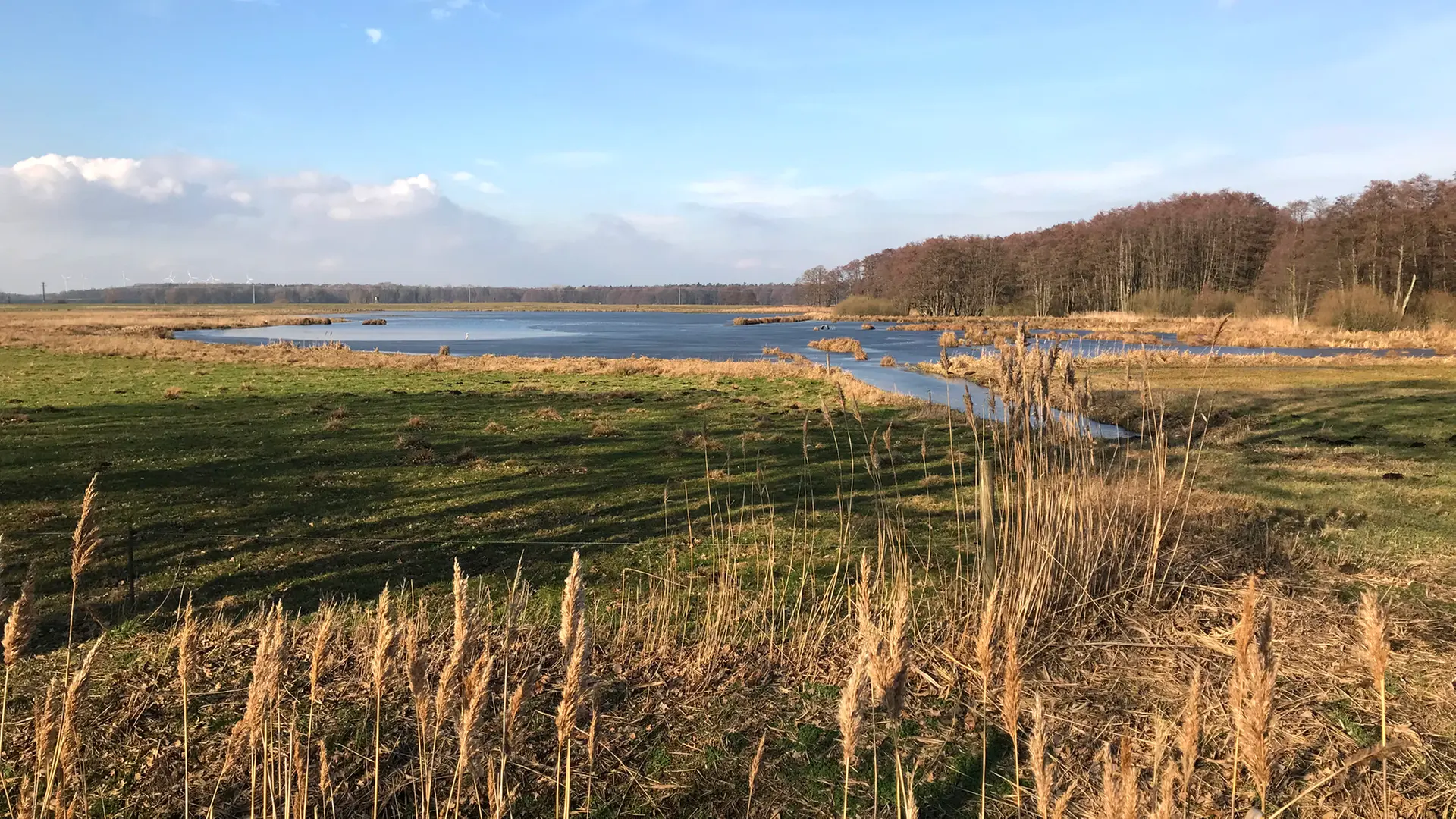 NABU: "Entwässerte Moore sind der größte Klimakiller in MV" | ndr.de