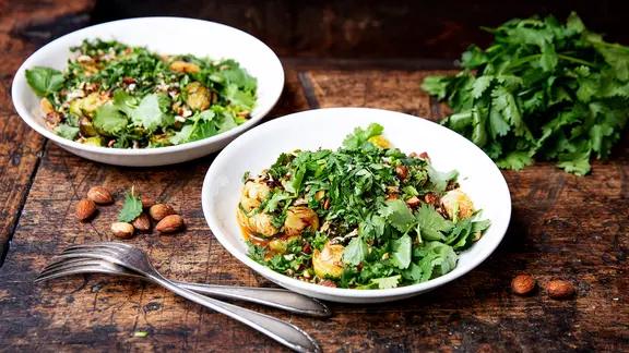 Ceviche vom Wolfsbarsch mit Mango | ndr.de