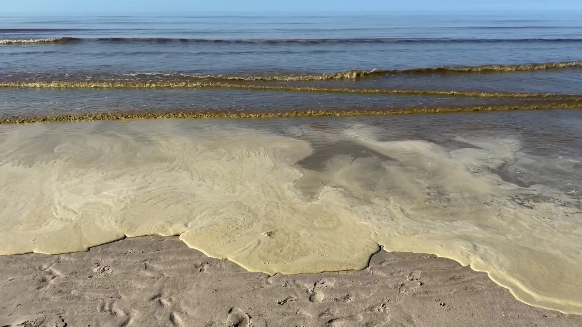 Übelriechender Schaum am Strand von Baltrum und Norderney | ndr.de