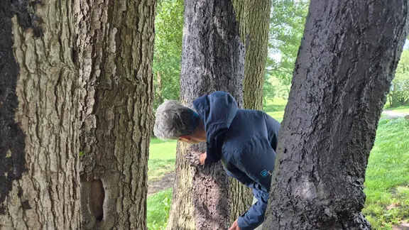 So entsteht Land Art von Roman Schöne | ndr.de