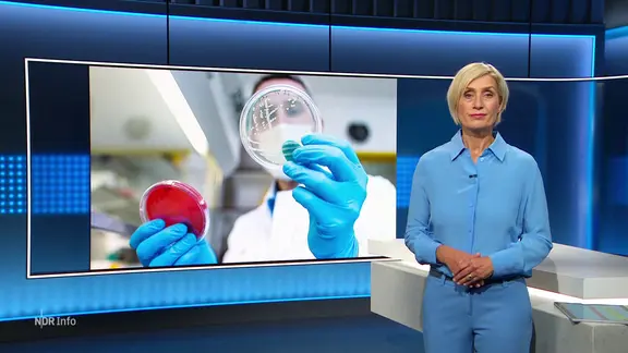 EHEC in Mecklenburg-Vorpommern - Was bedeutet der Ausbruch? | ndr.de