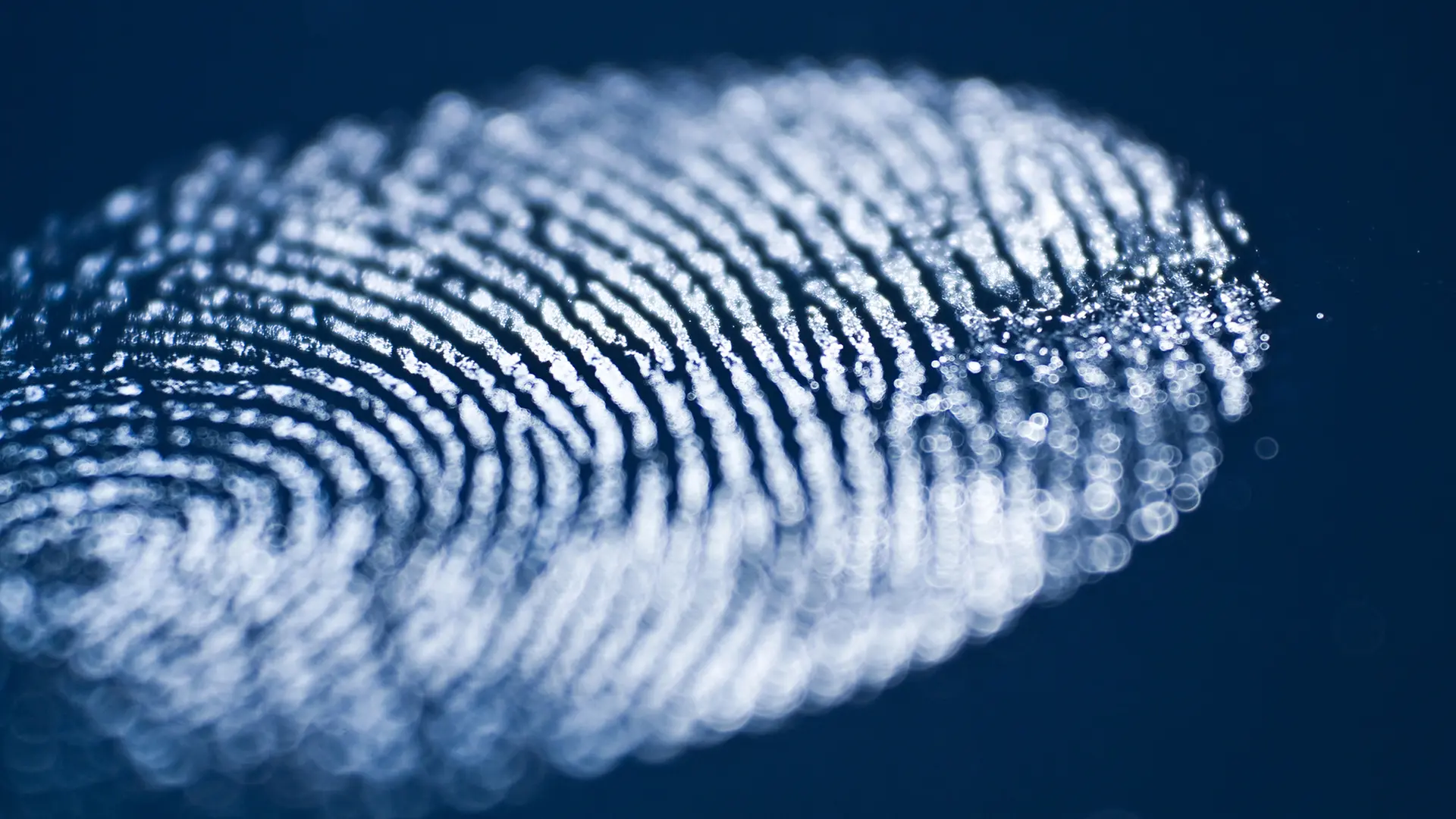 Kriminalhörspiel | ndr.de