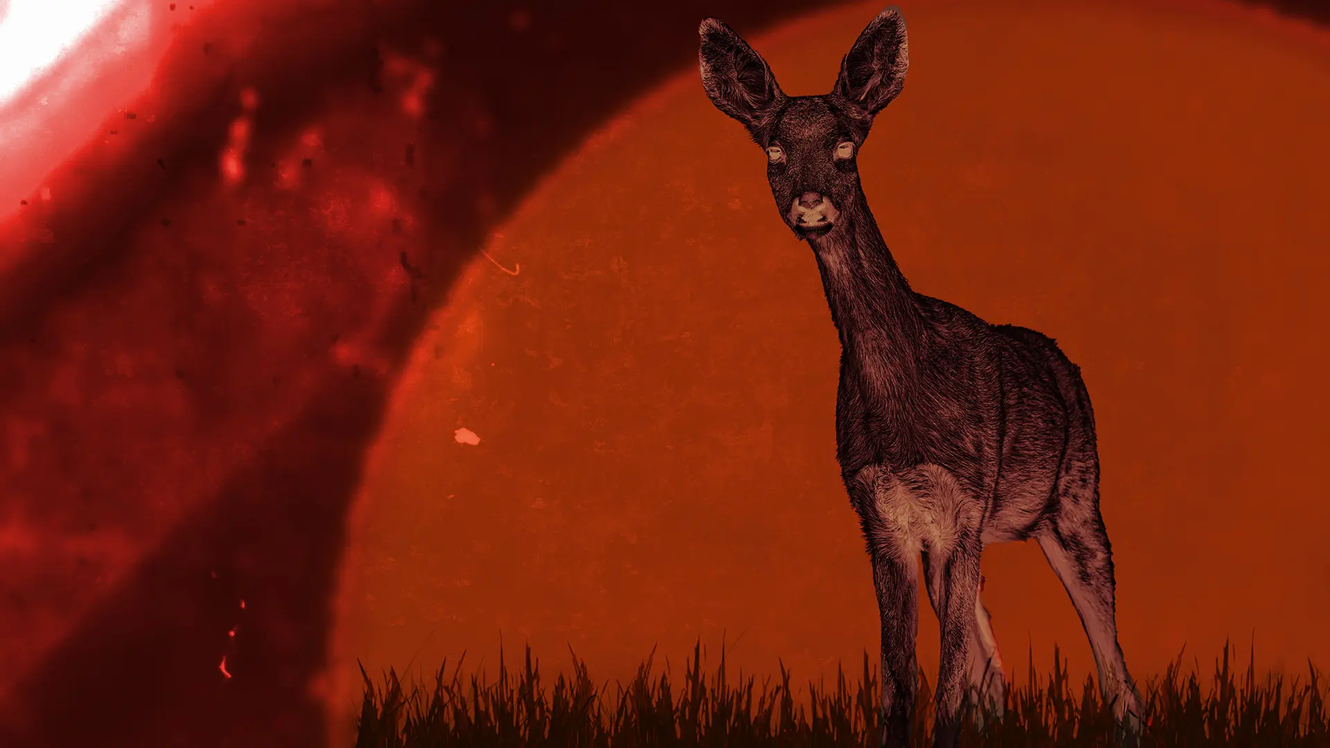 Mein Lieblingstier heißt Winter (2/2) | ndr.de