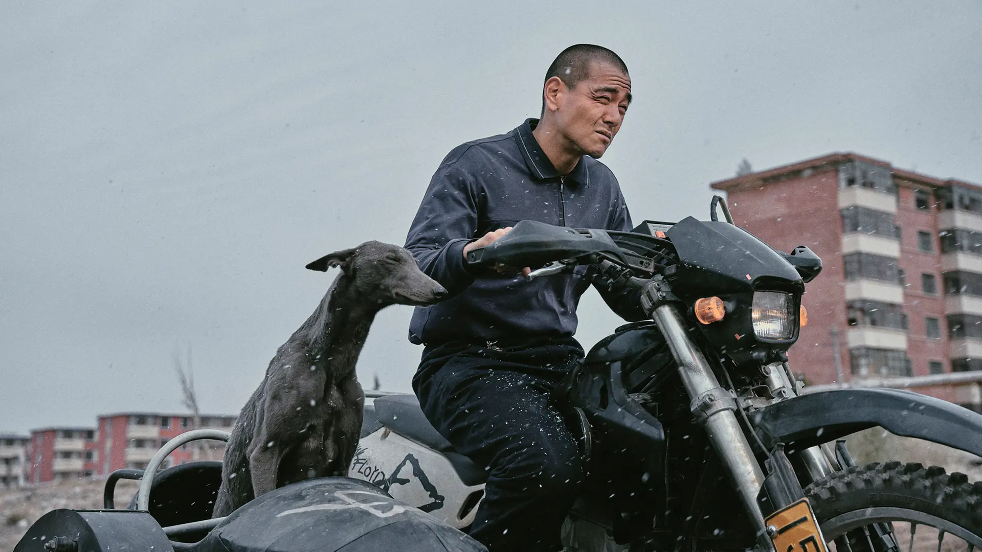 Film-Synchronisation aus dem Computer: Authentisch oder seelenlos? | ndr.de