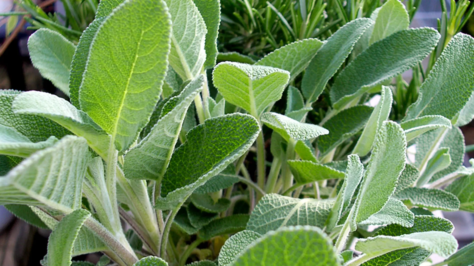 BINGO! - Die Umweltlotterie | ndr.de