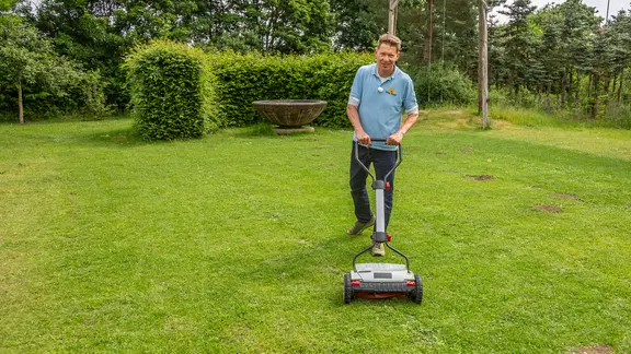 Rasen pflegen: Alles rund ums Thema | ndr.de