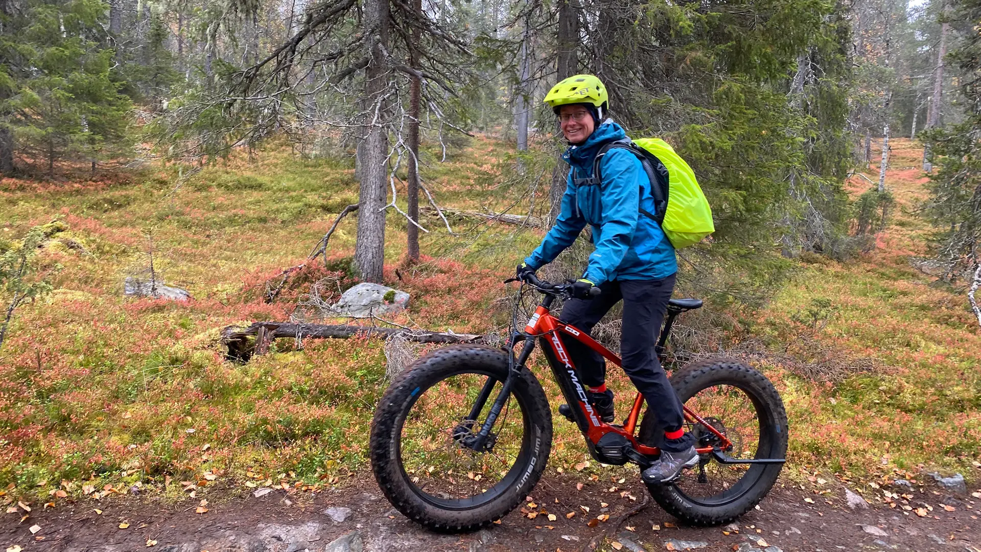 Nordtour unterwegs: Kulturschätze rund um den Elm | ndr.de