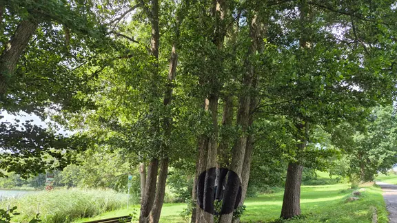 So entsteht Land Art von Roman Schöne | ndr.de