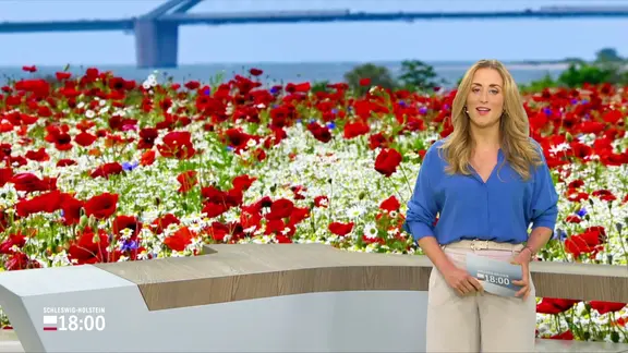 So wird das Wetter in Schleswig-Holstein | ndr.de
