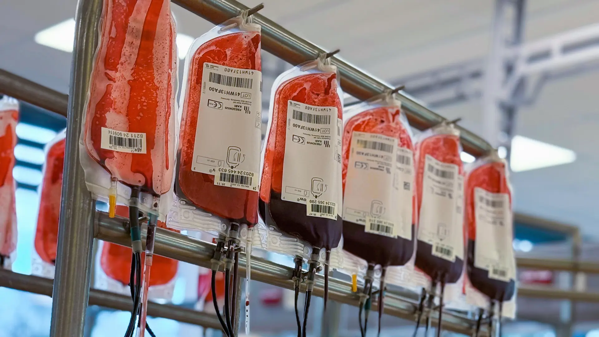 Weltblutspendetag: Zahl der Erstspender sinkt in Niedersachsen | ndr.de