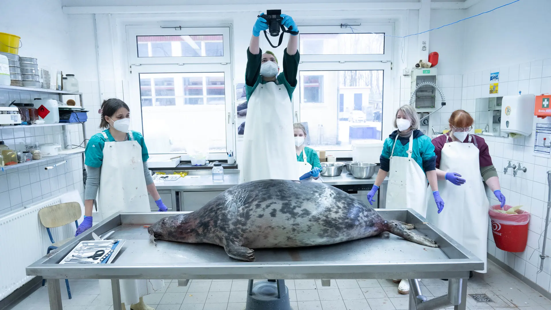 She webseries online i strongly recommend meeting Jasmine