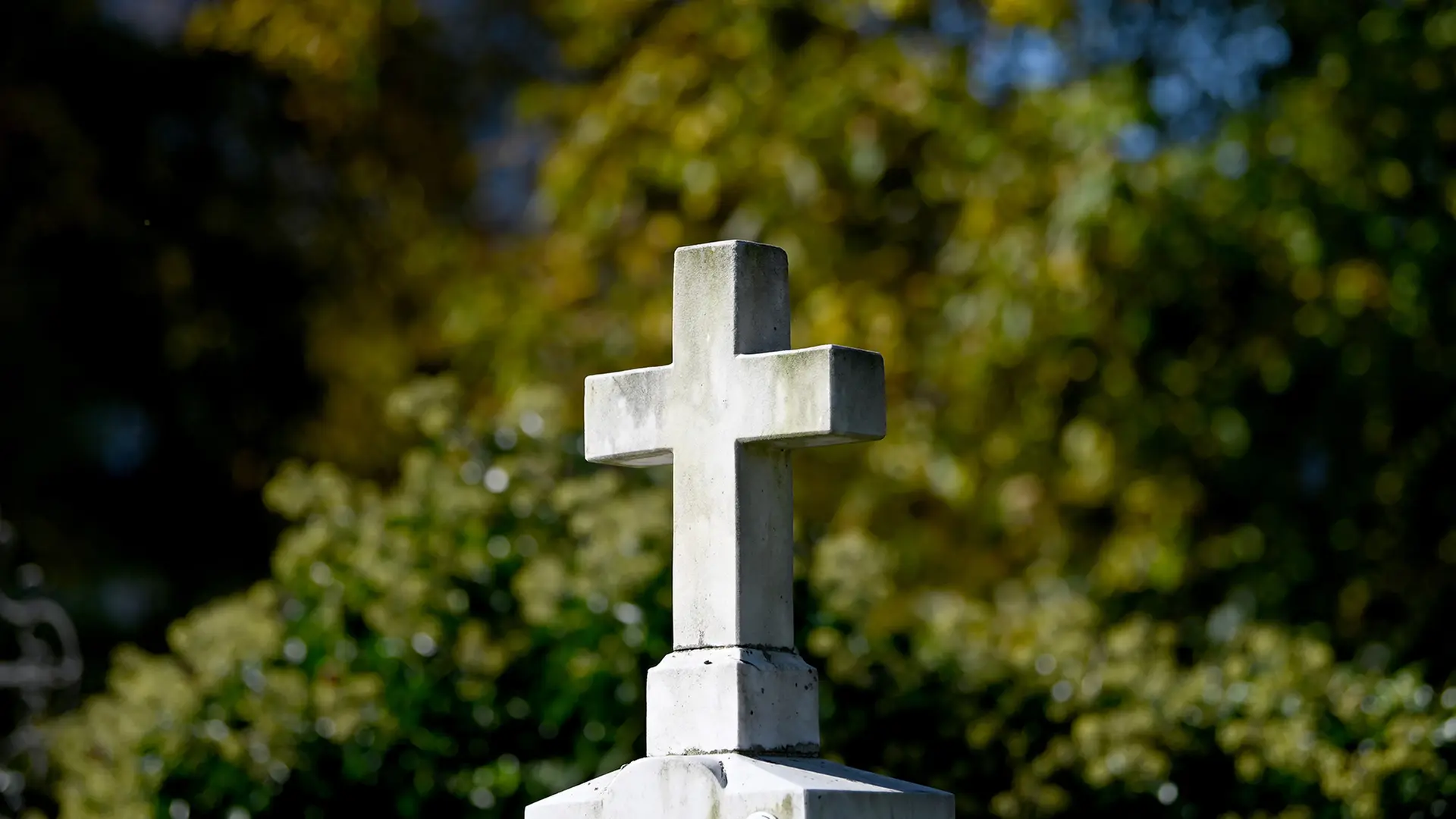 Prof. Dr. Eberhard Dall'Asta gestorben | ndr.de