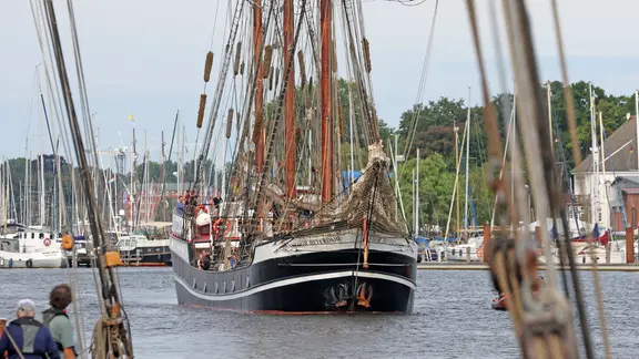 Hanse Sail 2024: Tradionssegler treffen sich im Stadthafen Rostock.