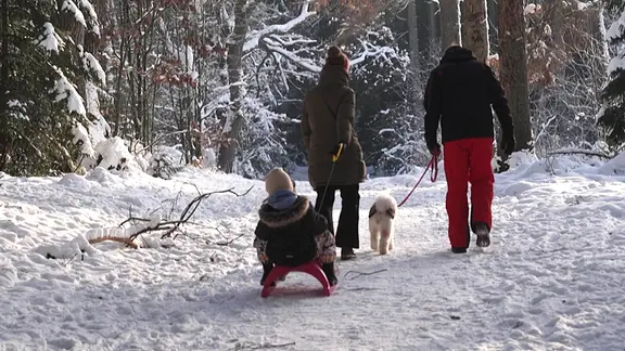 Daniel Günther kassiert "Shitstorm" für Aussagen bei Markus Lanz | ndr.de