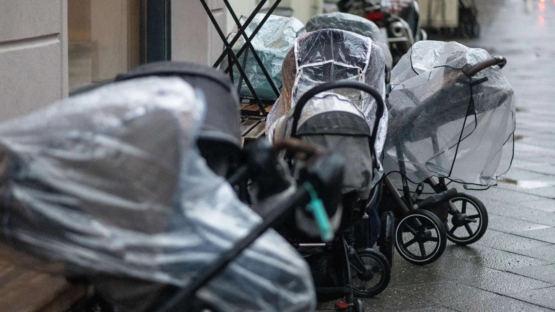 Studie untersucht, warum Hamburger sich gegen Kinder entscheiden | ndr.de