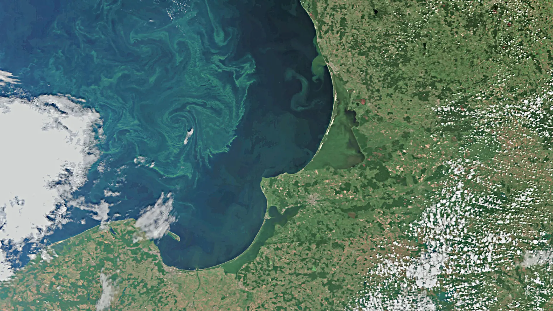 Die Ostsee: Badespaß und Todeszonen | ndr.de
