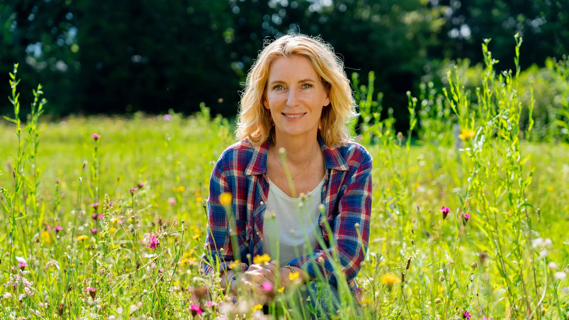Das Ende der Insekten? - Maria Furtwängler auf Spurensuche | ndr.de