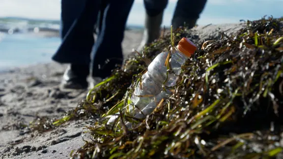 Kurabgabe in Büsum: Einwohner zahlen kommendes Jahr mehr | ndr.de