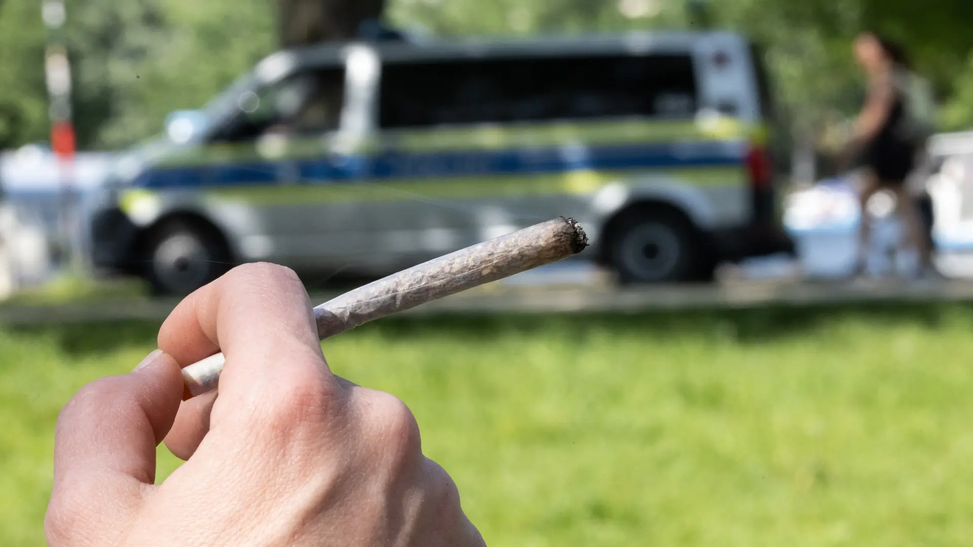 Land verdonnert Kommunen zu Cannabis-Kontrollen | ndr.de