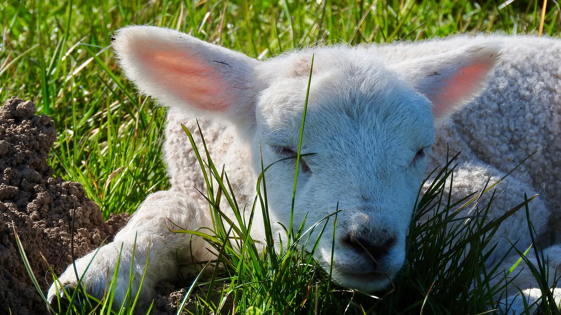 BINGO! - Die Umweltlotterie | ndr.de