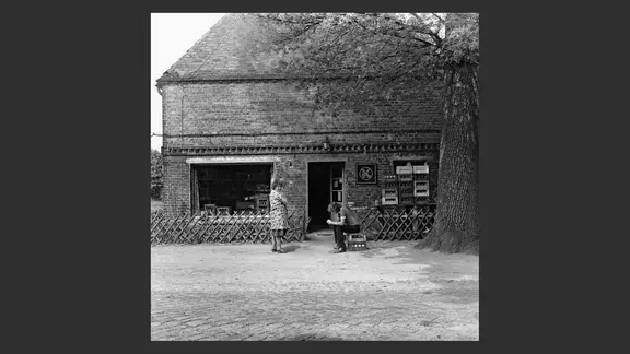 Barbara Wolff: 16 Eichen | ndr.de