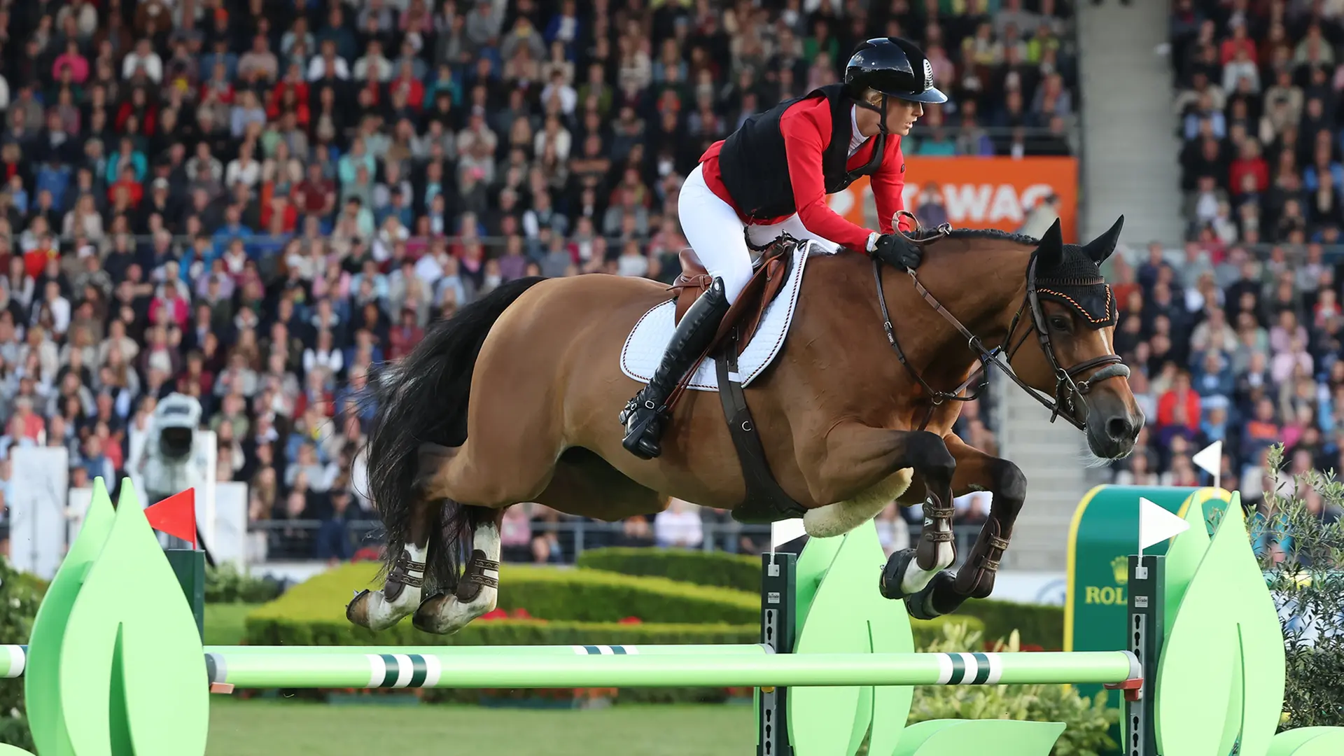 Pferde, Reiten, Dressur: 75. Oldenburger Landesturnier | ndr.de