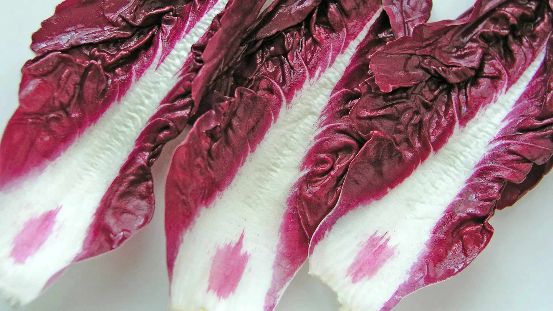 Radicchio trevisano | ndr.de