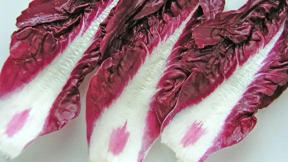 Radicchio trevisano | ndr.de