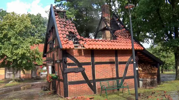 Anzu miller onlyfans porn saw DD advertised on HX and D